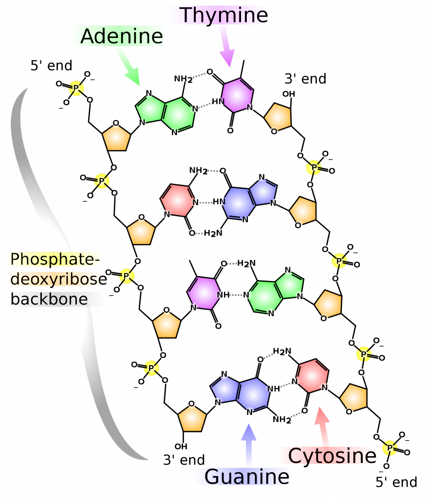 fosfor – Scheikundejongens